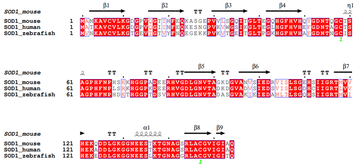 用ESPript 3.0做出好看的多重序列比对图（1） - 知乎