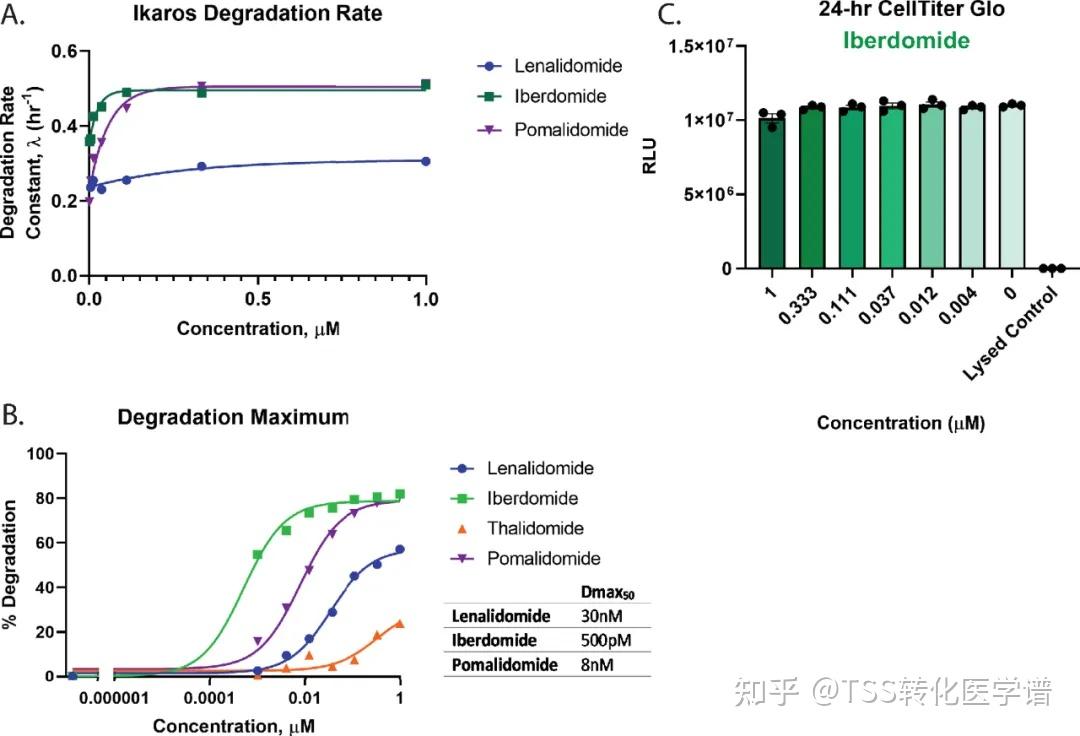 【Jove】HiBiT技术-对靶向蛋白降解分子进行高通量细胞活性分析 - 知乎