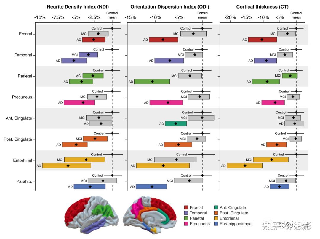 轻度认知障碍与阿尔茨海默病痴呆中皮质微结构改变 - 知乎