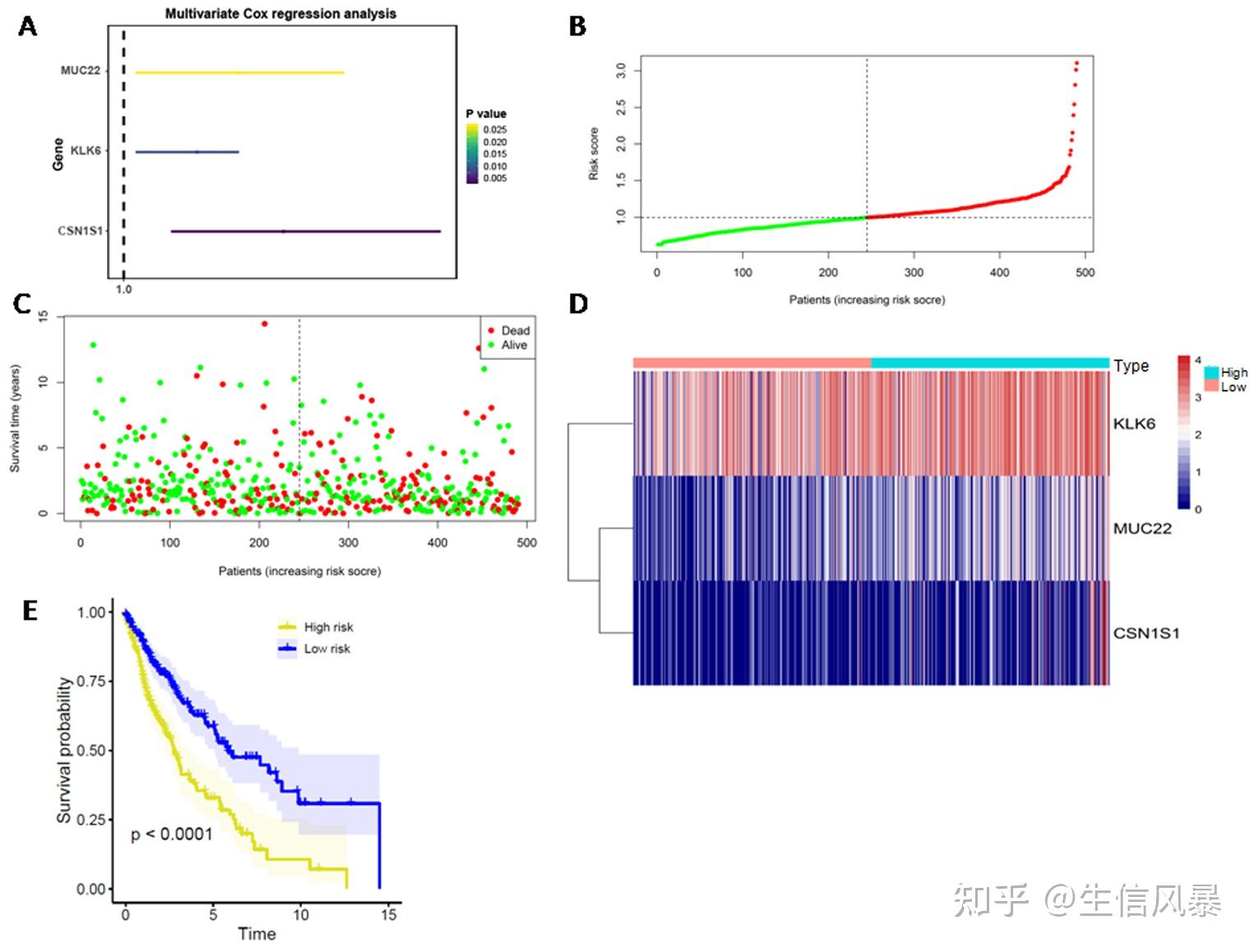 新奇的TP53思路百里挑一！ - 知乎