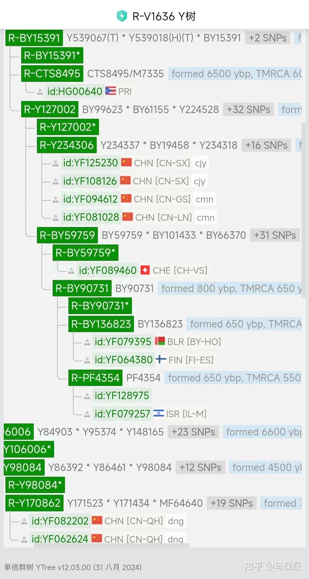 卡巴尔部落：R1b-BY59759 - 知乎