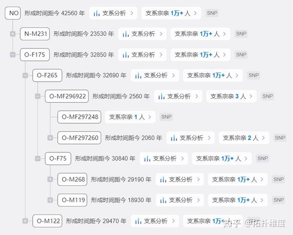 O1-F265起源于中原，却被N-M231和O2-M122冲散了 - 知乎