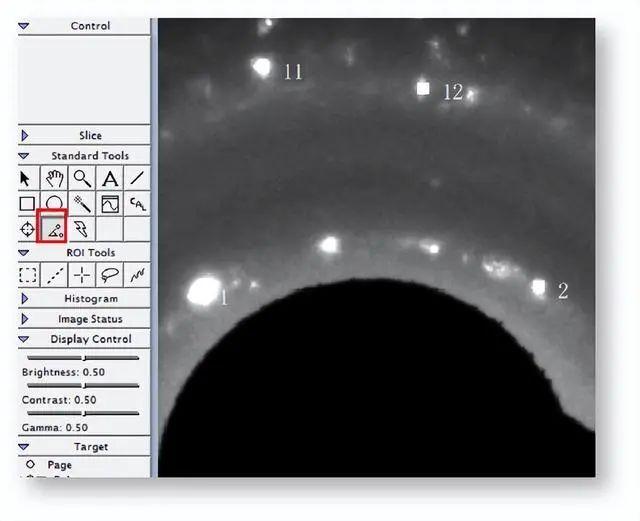 用Digital Micrograph（DM）分析与处理透射电镜TEM图像测试结果 - 知乎