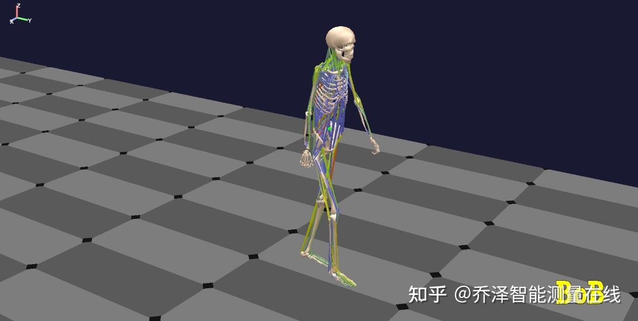 BOB教学版：与您一起发现使用人体运动生物力学模型学习的美妙！（探索步态运动） - 知乎