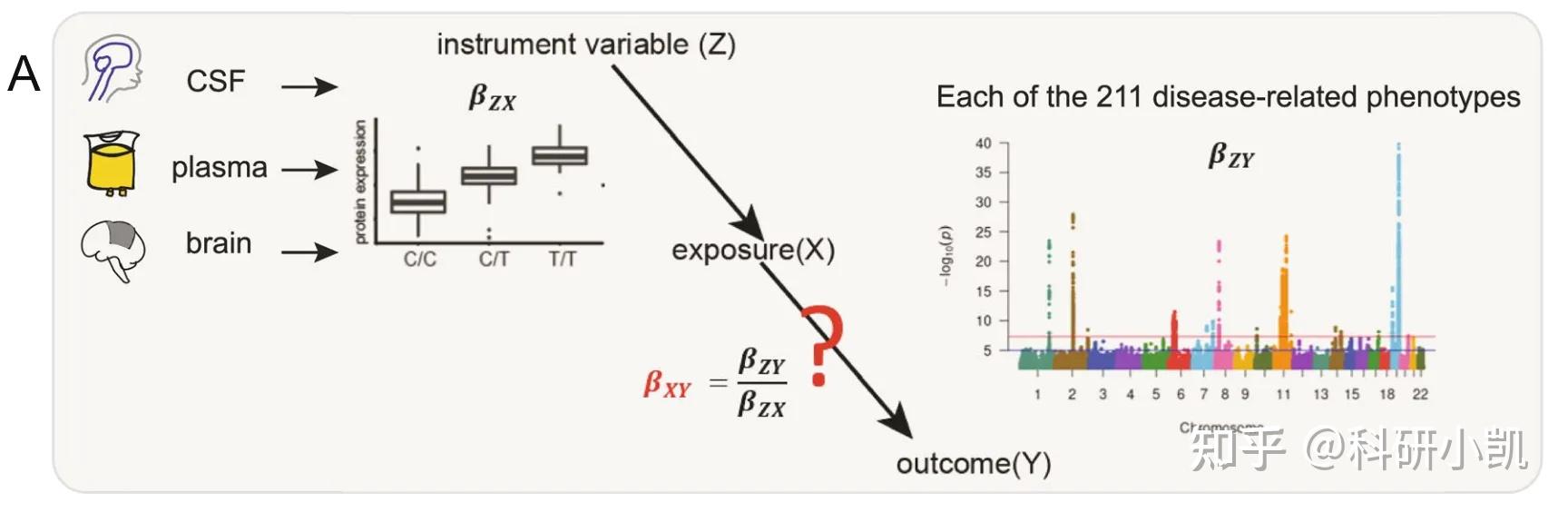 1区12分！PWAS+PheWAS--鉴定多表型药物靶点！ - 知乎