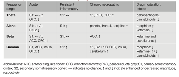 Trends Neurosci重磅综述| 一文读懂：疼痛时，大脑神经振荡的生物学机制 - 知乎