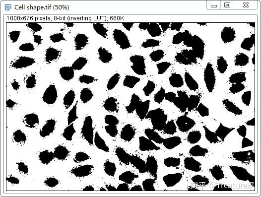 ImageJ实用技巧——不规则细胞分割&计数(解放双手篇) | 斯博利康-细胞生物学液体试剂专家