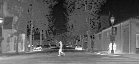 宵夜杂谈-我的ViT-22B很大，你忍一下！ - 知乎