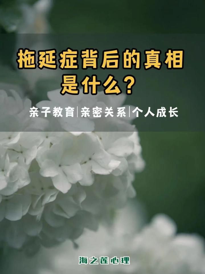 心理咨询师札记拖延症背后的真相 知乎