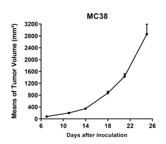 技术|CDX小鼠肿瘤模型的建立 - 知乎
