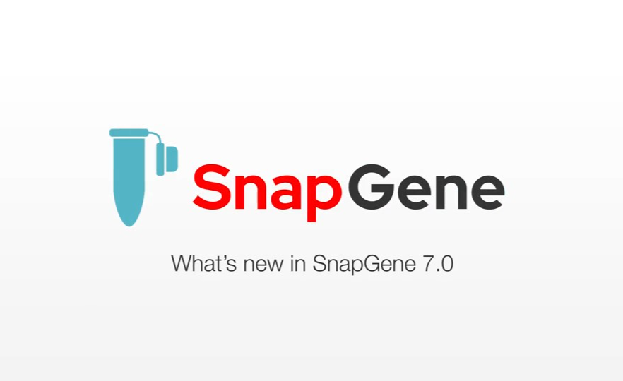 SnapGene 7.0 强势来袭！ - 知乎