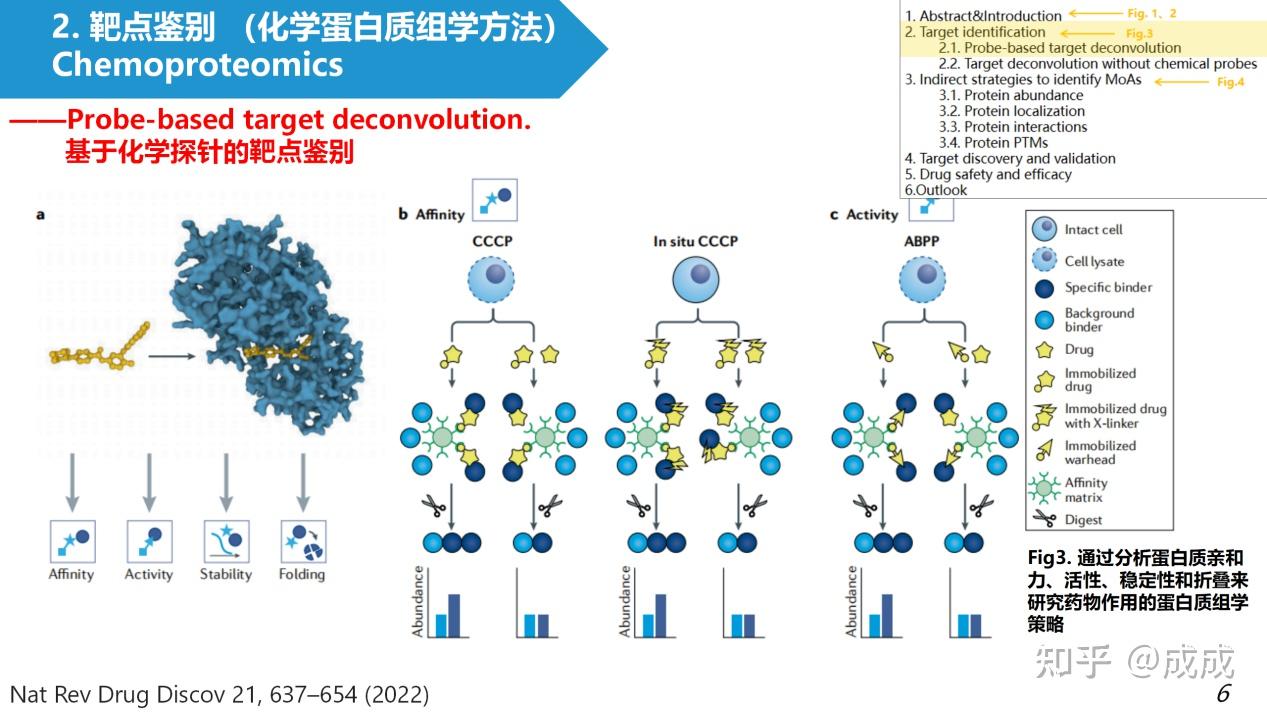 文献解读| 基于质谱的蛋白质组学在药物发现中的新兴作用The emerging role of mass spectrometry-based ...
