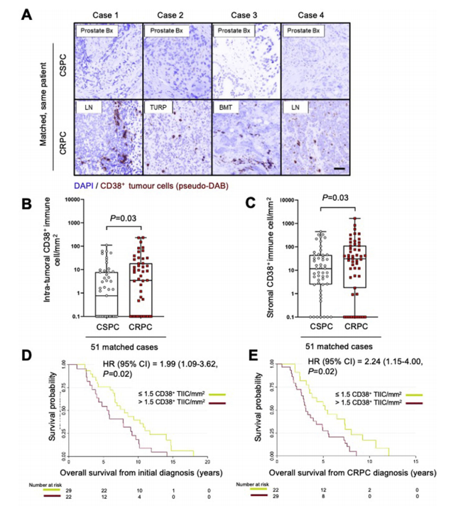 CD38与CD138阳性是什么意思呢？ - 知乎