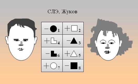 Socionics类型的功能详细描述 SLE by Stratiyevskaya - 知乎