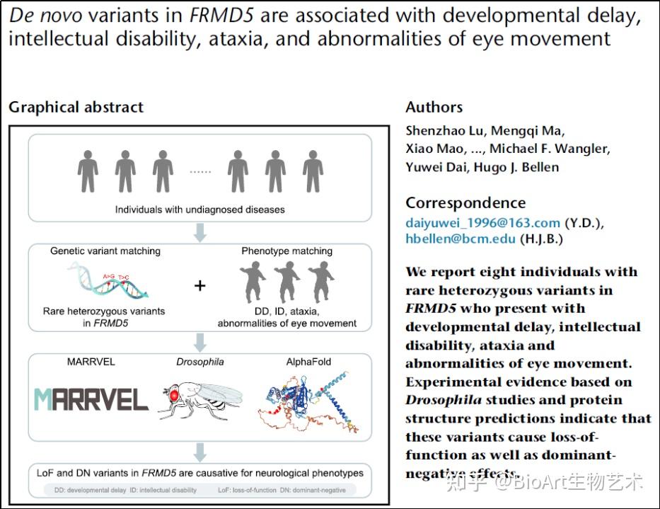 豌豆，果蝇和人类——利用果蝇诊断大量罕见遗传病 - 知乎