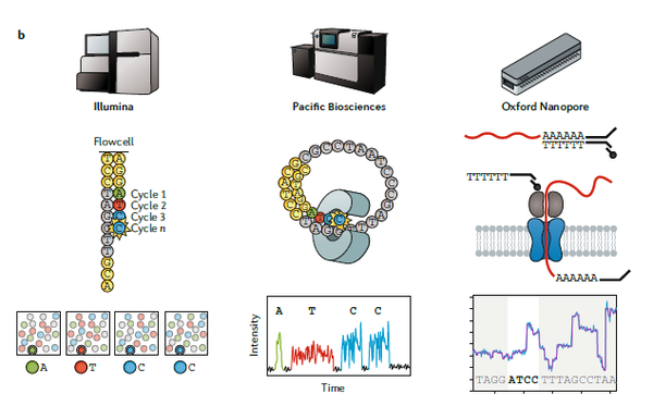 Nature重磅综述 |关于RNA-seq，你想知道的都在这 - 知乎