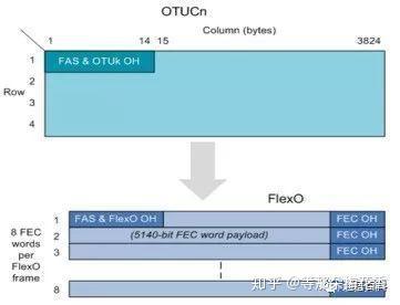 FlexE、FlexO与OTN - 知乎