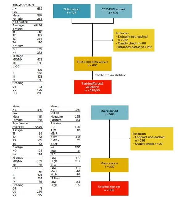 Nat Med | AI融合多种染色图像预测结直肠癌预后和治疗反应 - 知乎