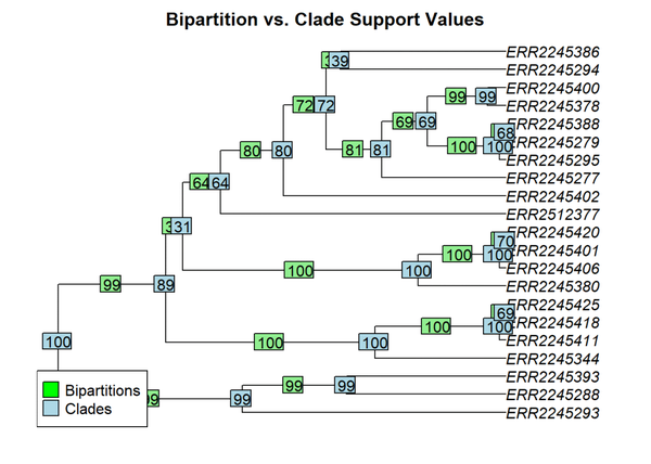R包神器 | 系统发育和进化分析 - ape (一) - 知乎
