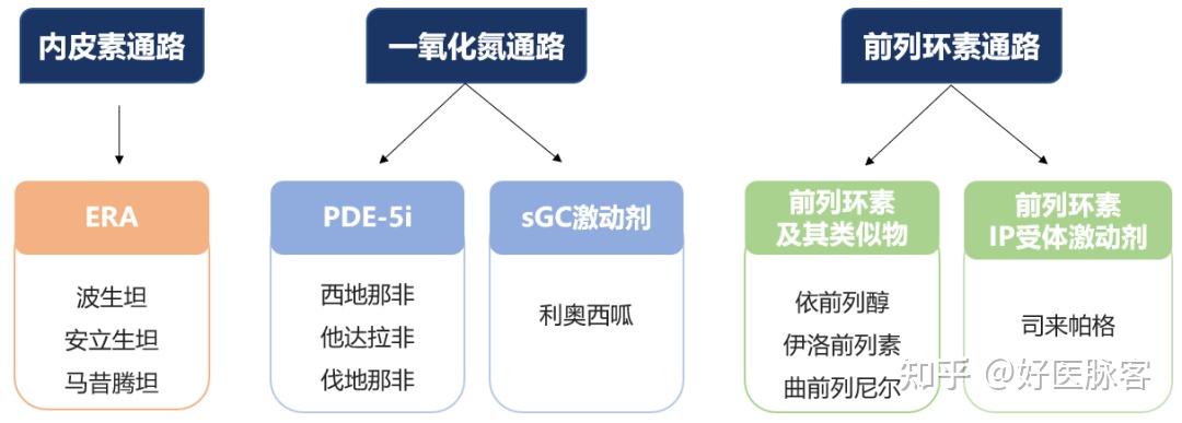 内皮素受体拮抗剂的那些事儿 - 知乎
