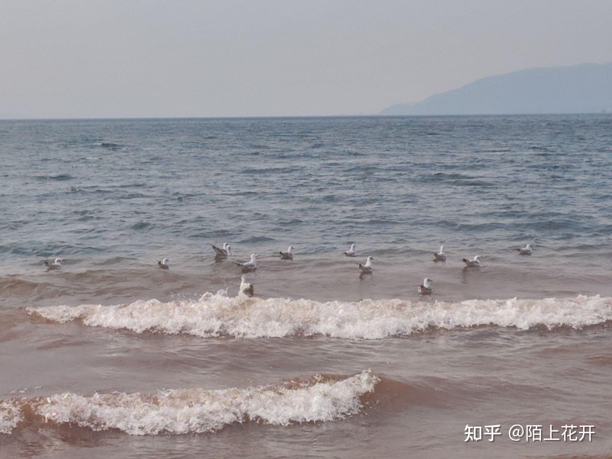 云南玉溪澄江抚仙湖两日游 - 知乎