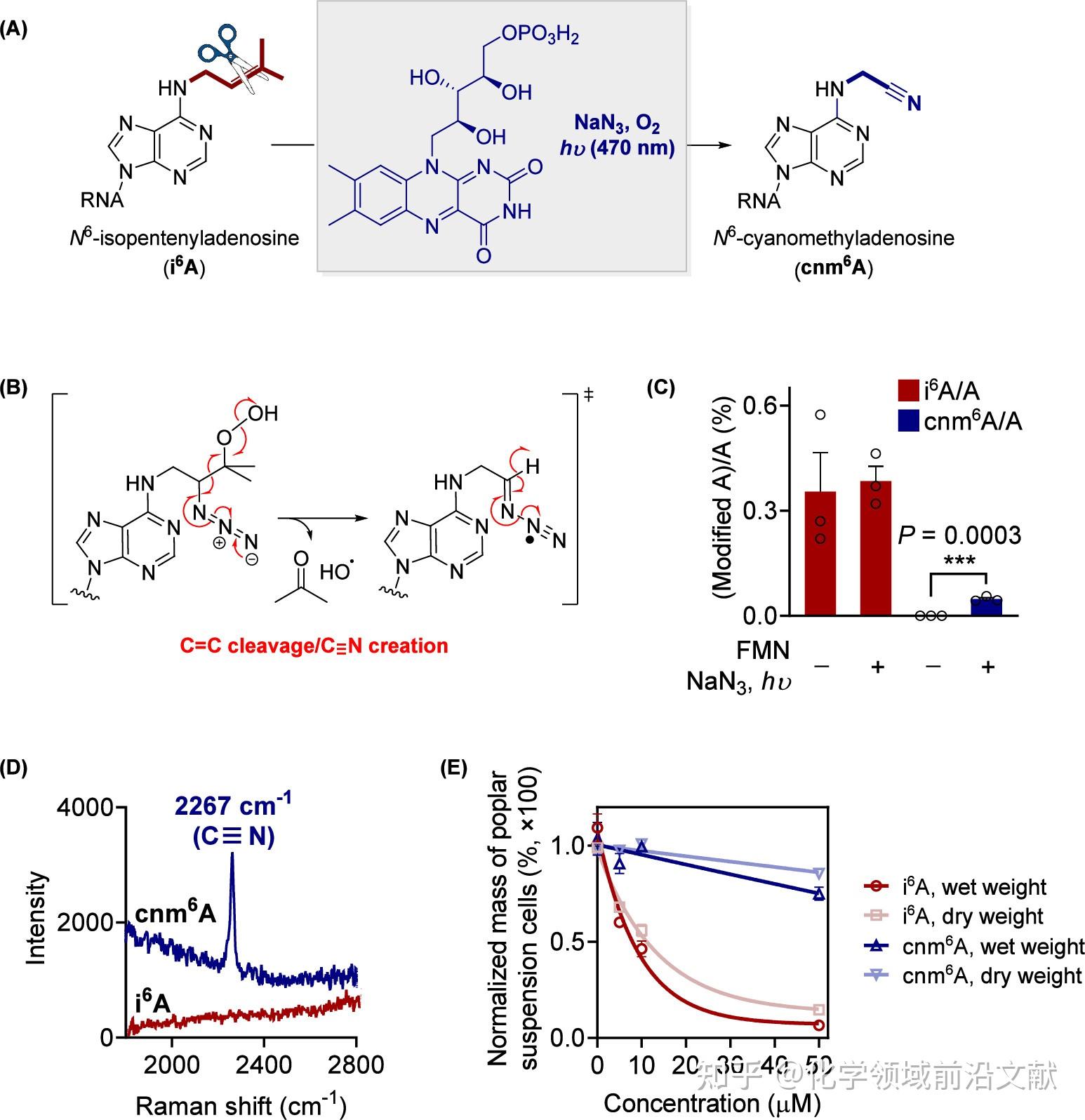 中国科学院化学所程靓Acc. Chem. Res.：化学工具驱动的RNA表观修饰的调控与操纵 - 知乎