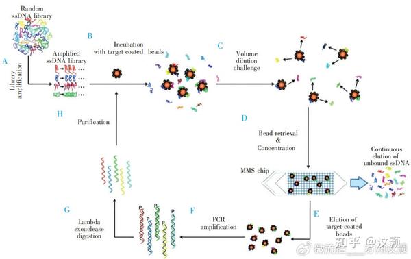 基于微流控芯片的核酸适配体筛选技术研究进展上 - 知乎