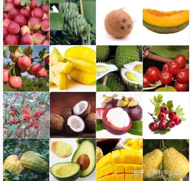 使用resnet50进行水果图像分类 并利用tensorflow和keras来实现构建一个用于水果分类的深度学习模型 对262中水果进行图像识别 知乎