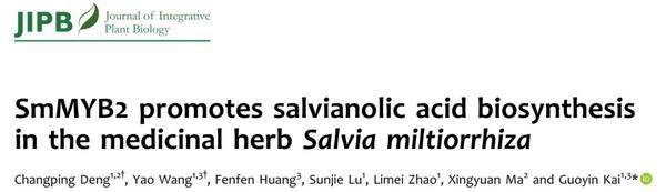 JIPB| 浙江中医药大学开国银课题组在MYB转录因子调控丹酚酸生物合成研究中取得新进展 - 知乎