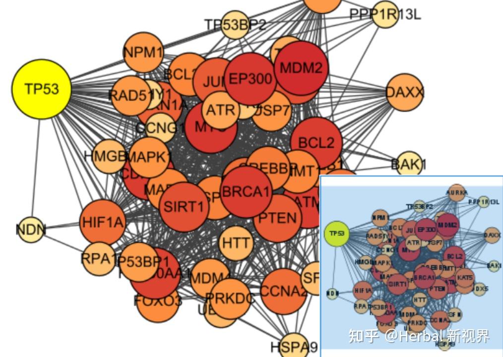 手把手教学｜String数据库与Cytoscape软件联合应用 - 知乎