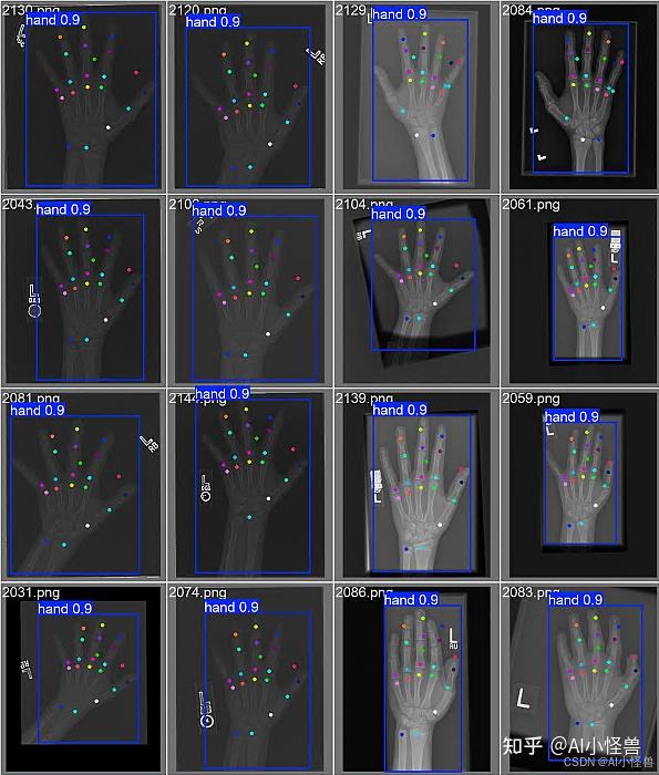 YOLO11-pose关键点检测：自己数据集从labelme标注到生成yolo格式的关键点数据以及训练教程 - 知乎