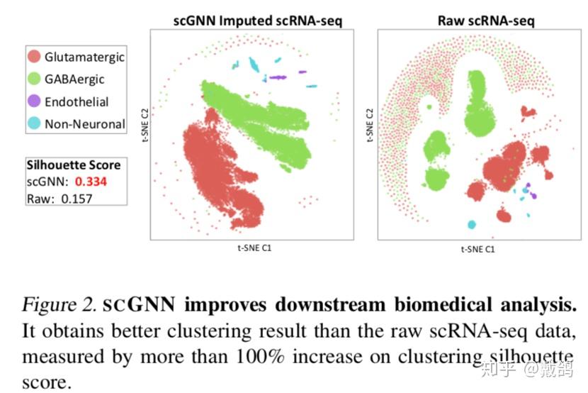 图神经网络& single cell RNA - 知乎