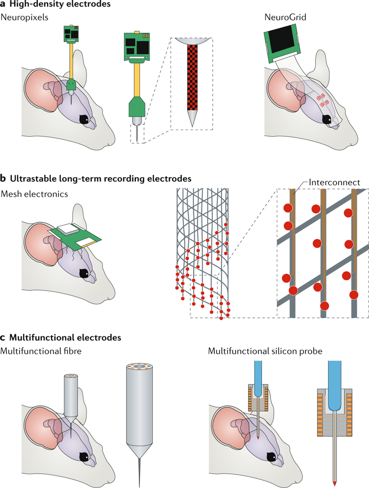 Novel electrode technologies for neural recordings - 知乎