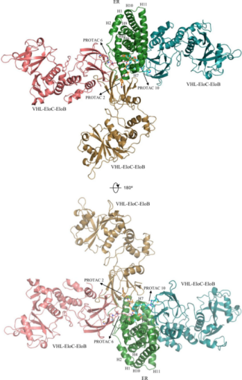 Nat. Commun. | DeepPROTACs: 基于深度学习的PROTACs降解药效预测模型 - 知乎