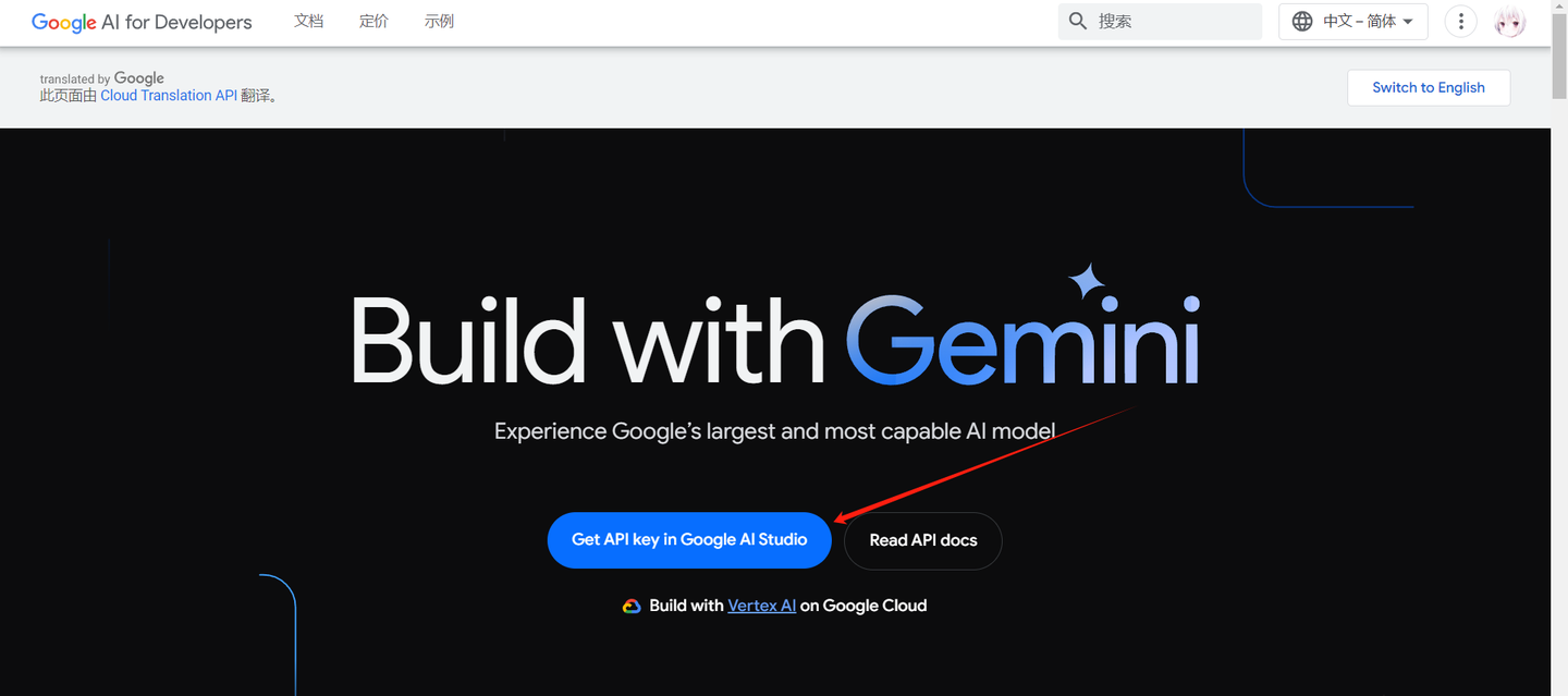 手把手教你搭建谷歌Gemini - 知乎