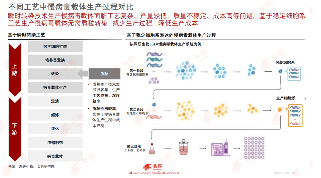 稳定细胞系悬浮培养工艺，解决慢病毒载体生产过程痛点 知乎 1317