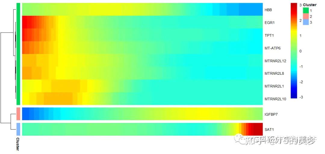 跟着Cell学单细胞转录组分析(十):Monocle2拟时分析演示之结果可视化（下） - 知乎