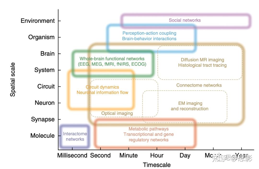 Nature Neuroscience：网络神经科学 - 知乎