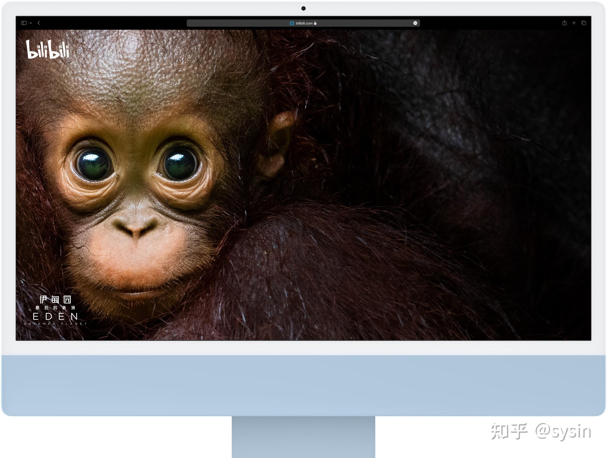 Apple Safari 17.2 - macOS 专属浏览器 (独立安装包下载) - 知乎