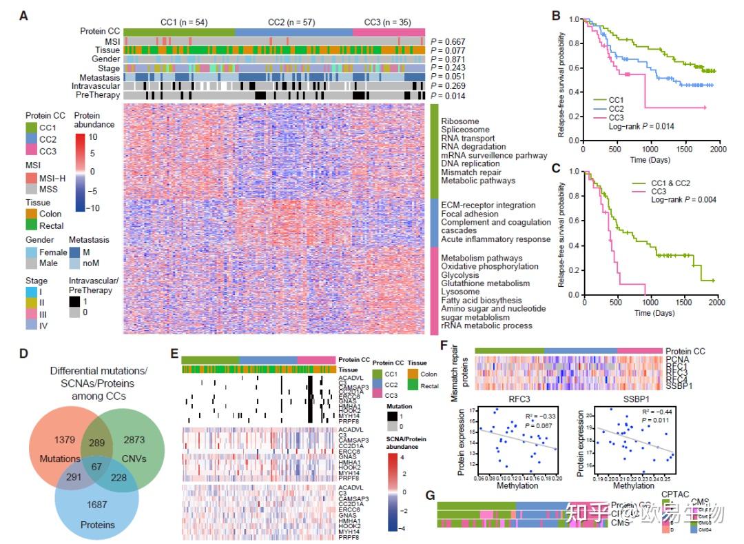 Cancer Cell我国科学家首次获得转移性大肠癌的多组学数据 - 知乎