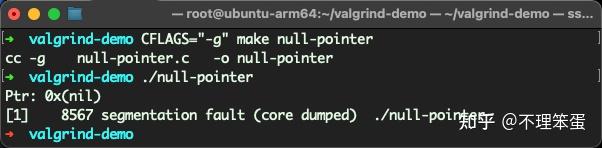 一文学会使用valgrind工具进行程序内存检查 - 知乎