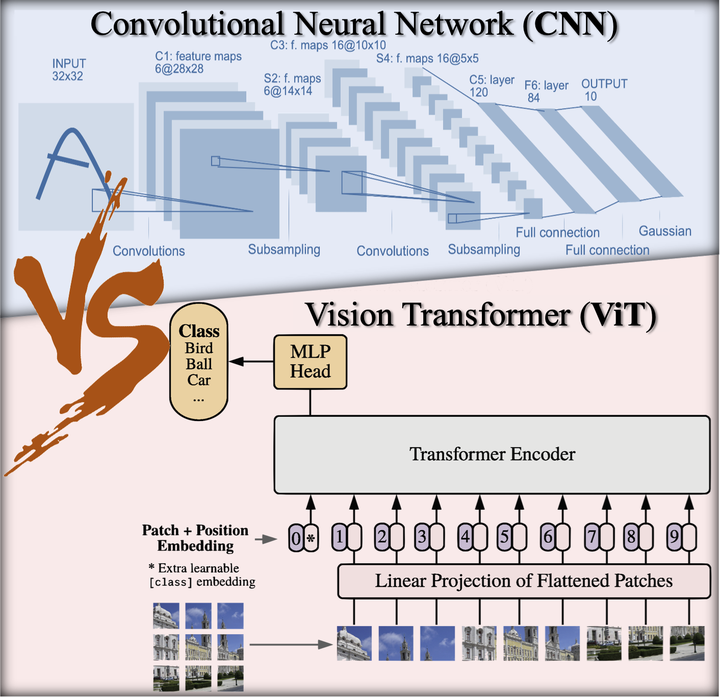 [经典论文] Transformers vs CNNs：谁更鲁棒？（NeurIPS 2021） - 知乎