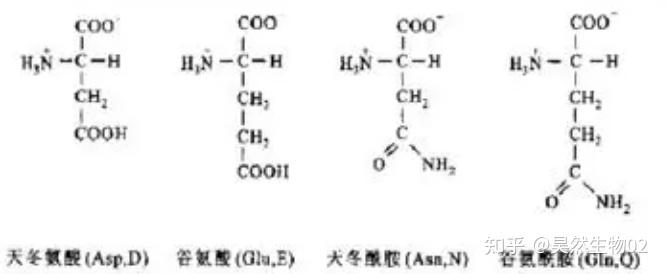 BHQ-3-Hyd-amine ，黑洞荧光猝灭基团bhq-1/2/3，偶联胺基NH2化腙键 - 知乎
