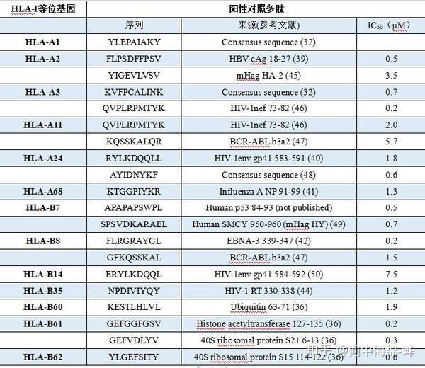HLA-Ⅰ基于细胞的多肽竞争结合试验 - 知乎