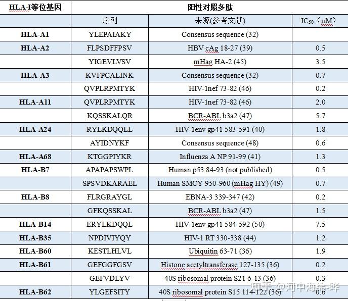 HLA-Ⅰ基于细胞的多肽竞争结合试验 - 知乎