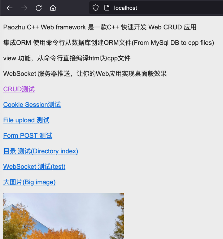 Paozhu 发布 1.9.0 C++ Web Framework - 知乎