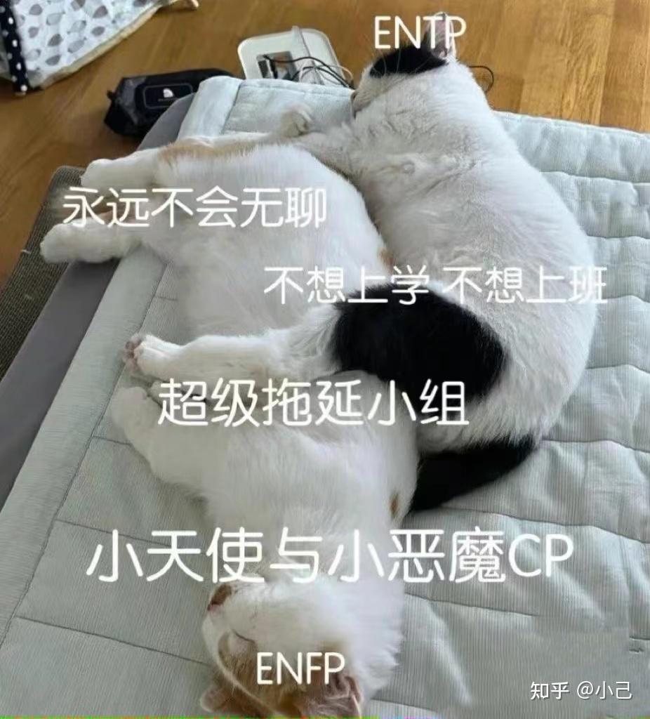 ENFP和ENTP的区别 - 知乎