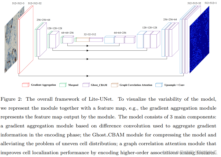 Lite-UNet: 轻量且高效的细胞定位模型，轻量化的U-Net - 知乎