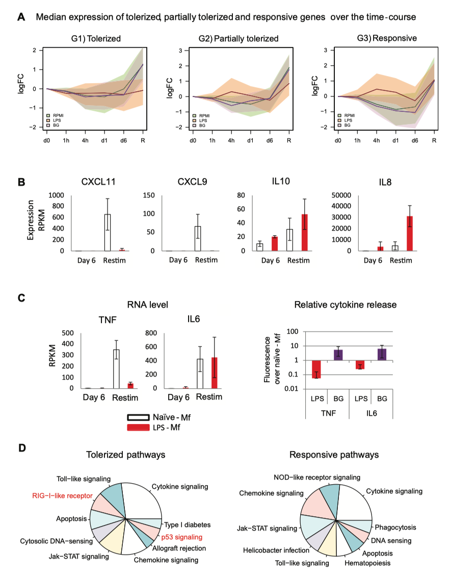 Cell丨β-葡聚糖逆转了LPS诱导的免疫耐受的表观遗传状态 - 知乎