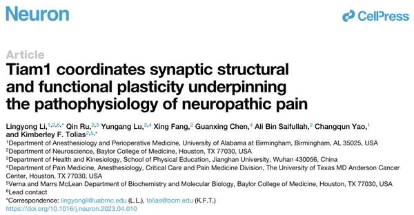 Neuron：神经病理性疼痛新靶点——调控突触结构和功能可塑性镇痛 - 知乎